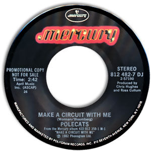 Make A Circuit With Me 11855 Classic 45 S